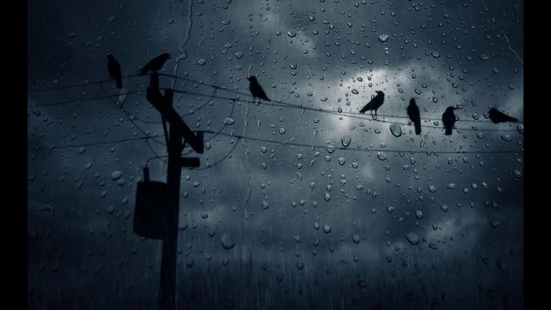 SCP文档 | SCP-3300 大雨 | 机核