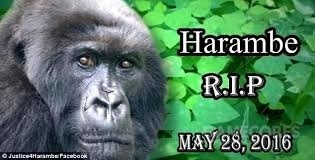 模因与反模因：基金会最大的敌人(上） | 机核